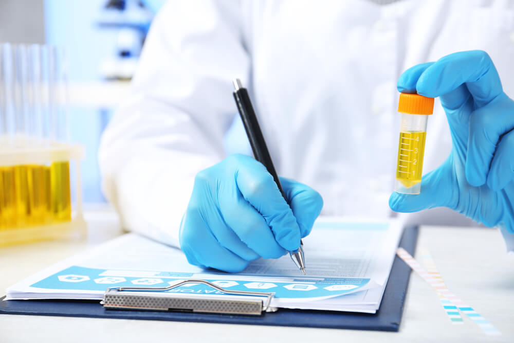 The Purpose Of The Lab Report Best Assignment Writers Blog